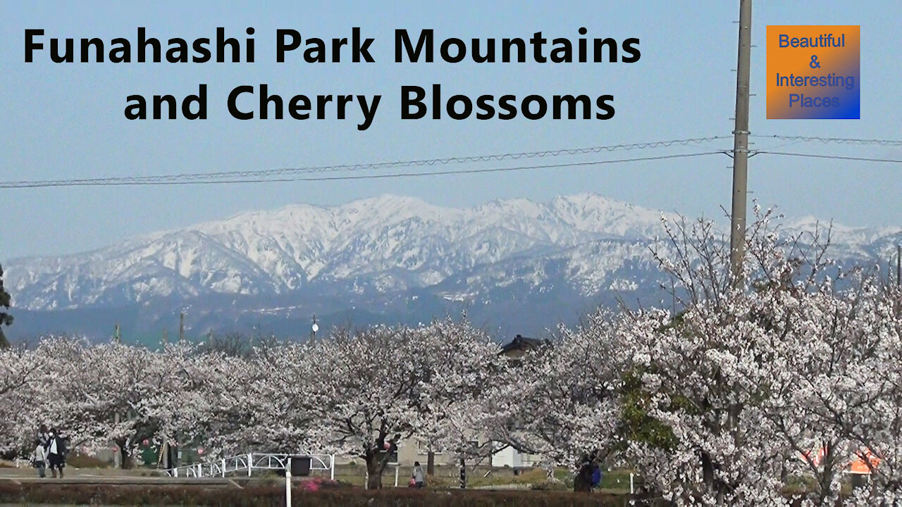 Funahashi Park-Mountains and Cherry Blossoms