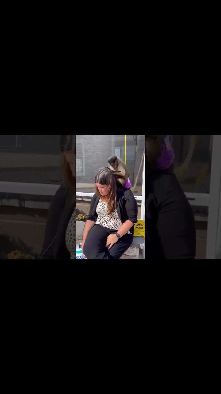 My favorite bank lady came to visit me!! i gave her lots of sugars!!