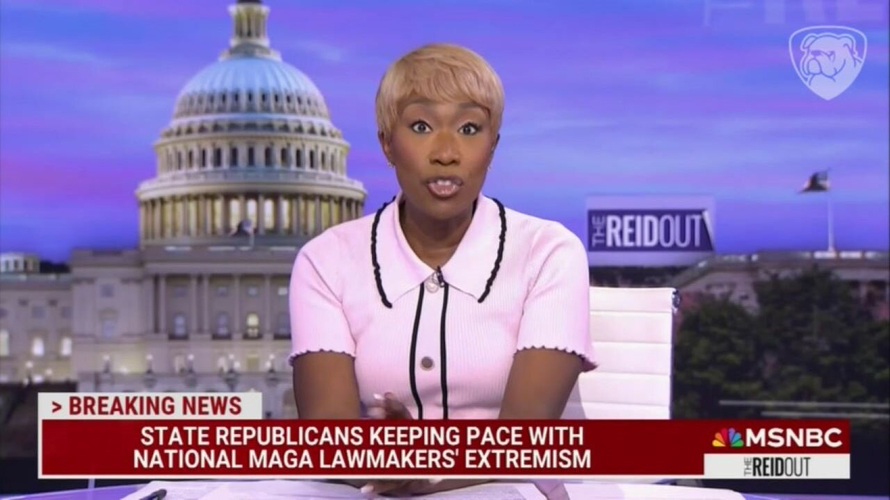 Race-Obsessed Joy Reid Proclaims 'Yes, Ron DeSantis Has Banned Color!' Race-Obsessed Joy Reid Proclaims 'Yes, Ron DeSantis Has Banned Color!'