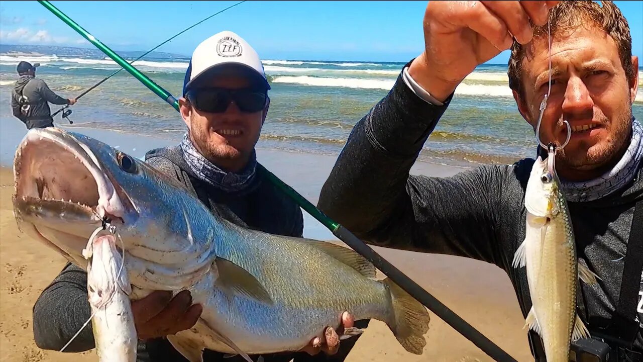 Fishing FOR KOB with LIVE MULLETS IN SHALLOW WATER! The Kob finally ...