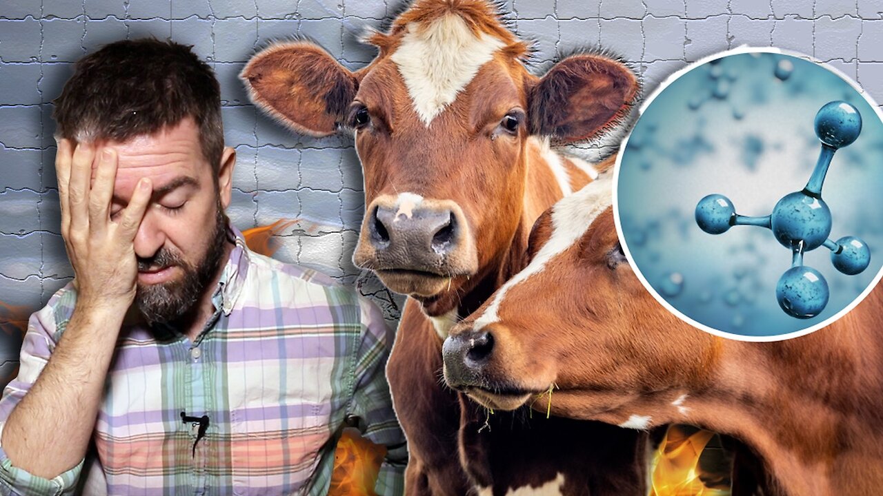 Talk About BS!! Gassy Cows And Pigs To Be Hit With World’s First Carbon ...