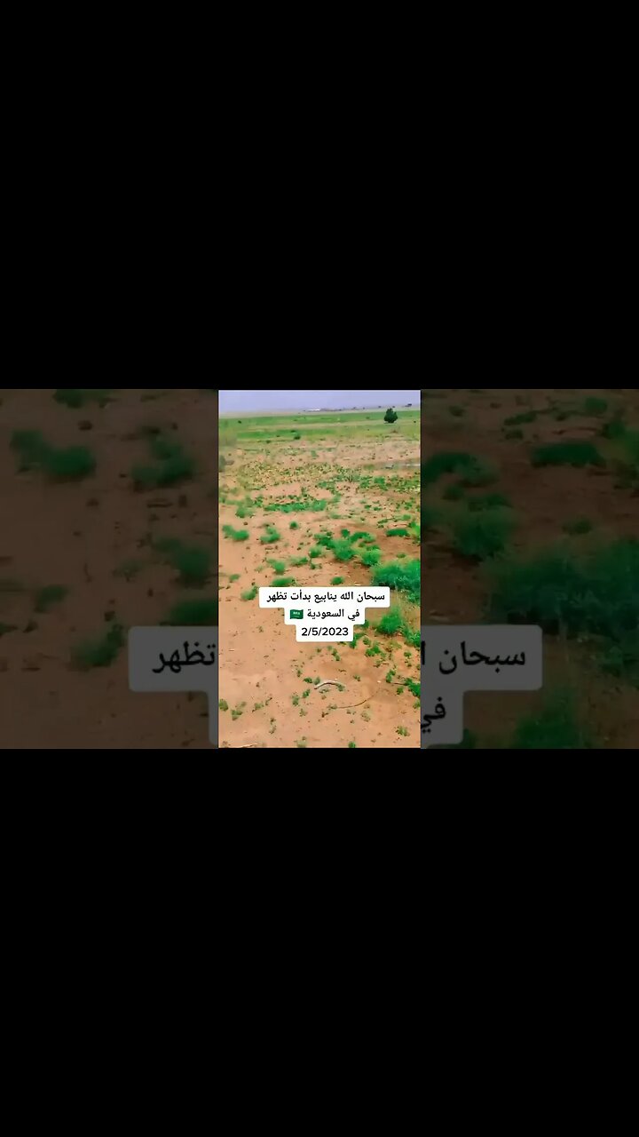 NEW EARTH ~ The Deserts are turning Green in Saudi Arabia Middle East ...