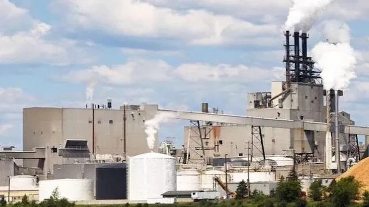 Paper Mill Temporarily Closes Due to Fungal Outbreak - Safety Measures ...