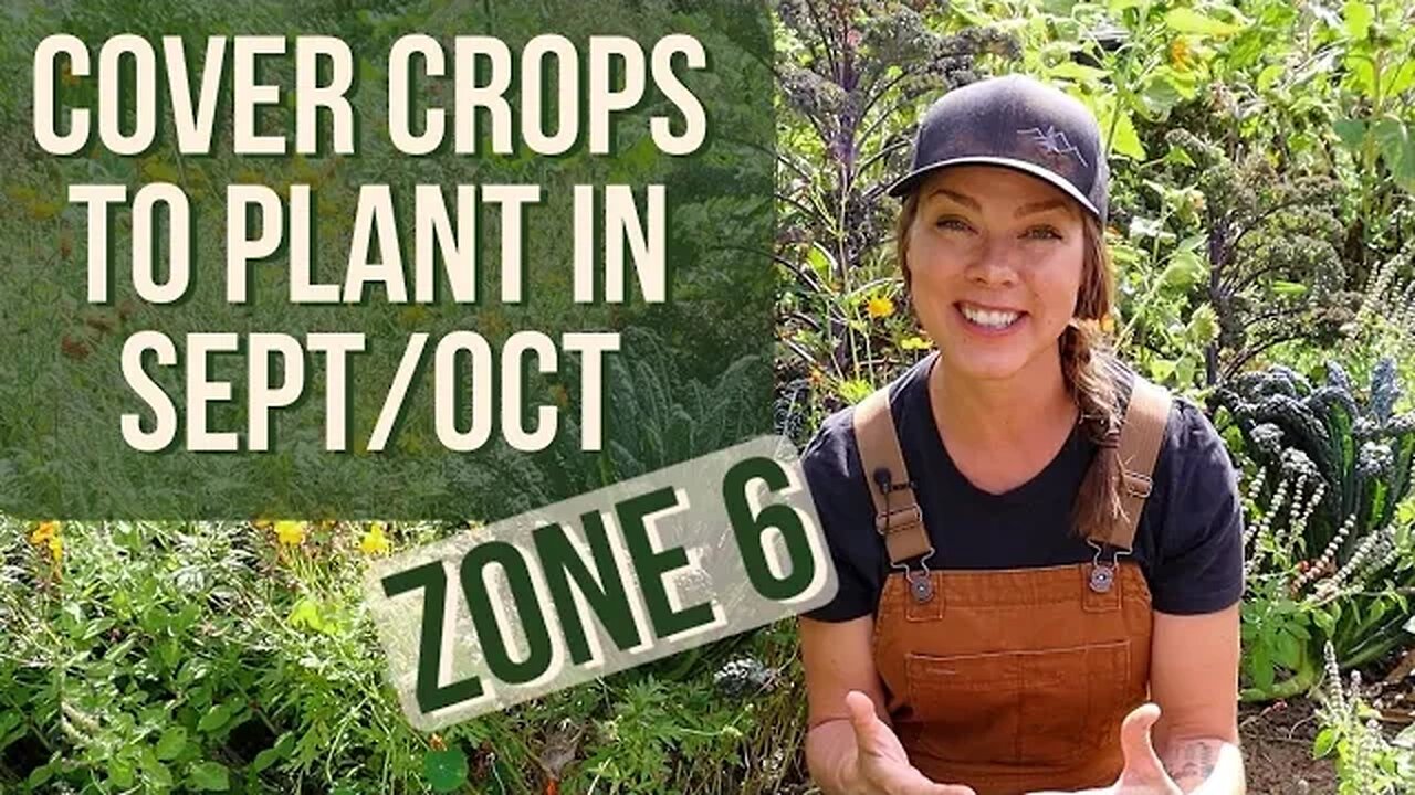 Cool Season Cover Crops to Plant Now!