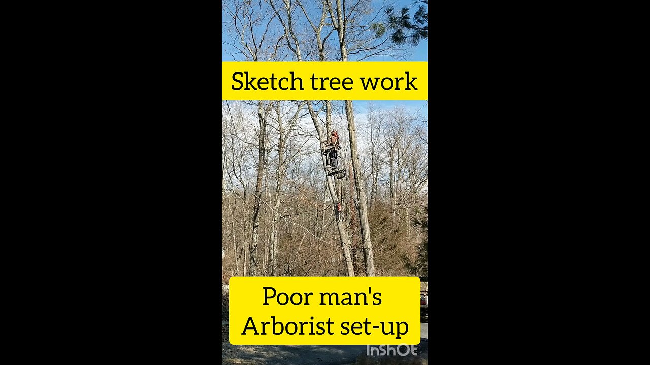 poor man's arborist set-up and use in