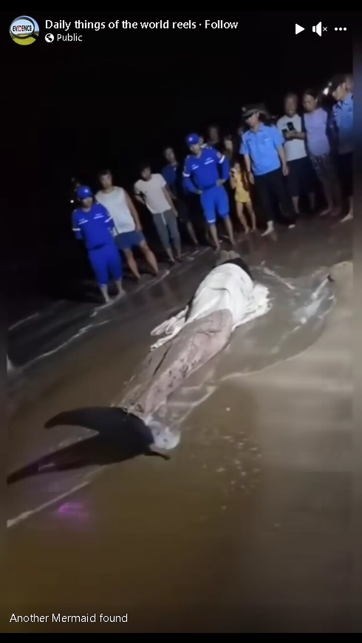 ANOTHER MERMAID FOUND...
