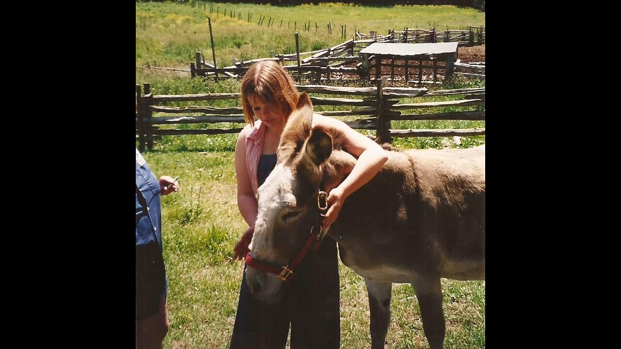 Rudolph Plushie - Last Day of a Sniecy Prom