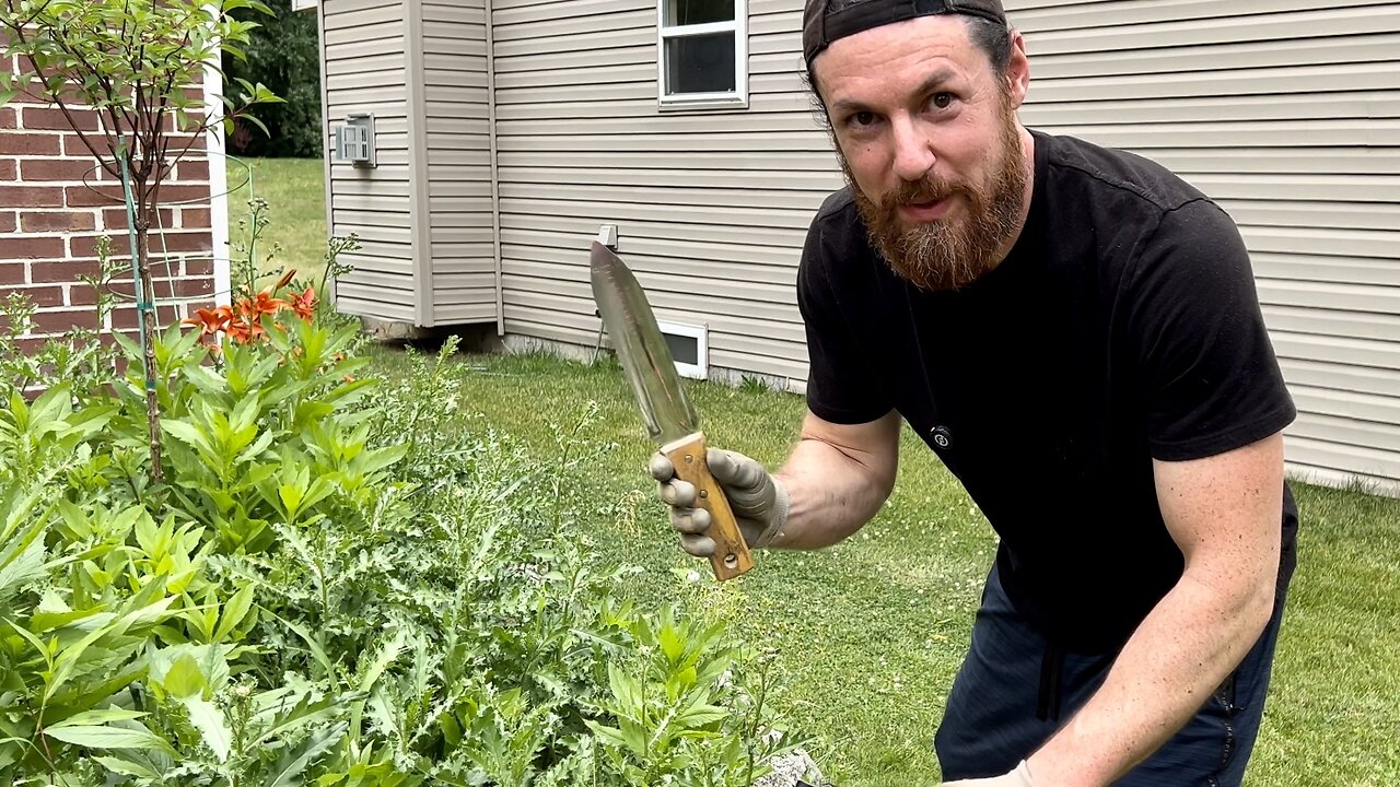 Garden Transformation: The Original Hori Hori Namibagata Japanese ...