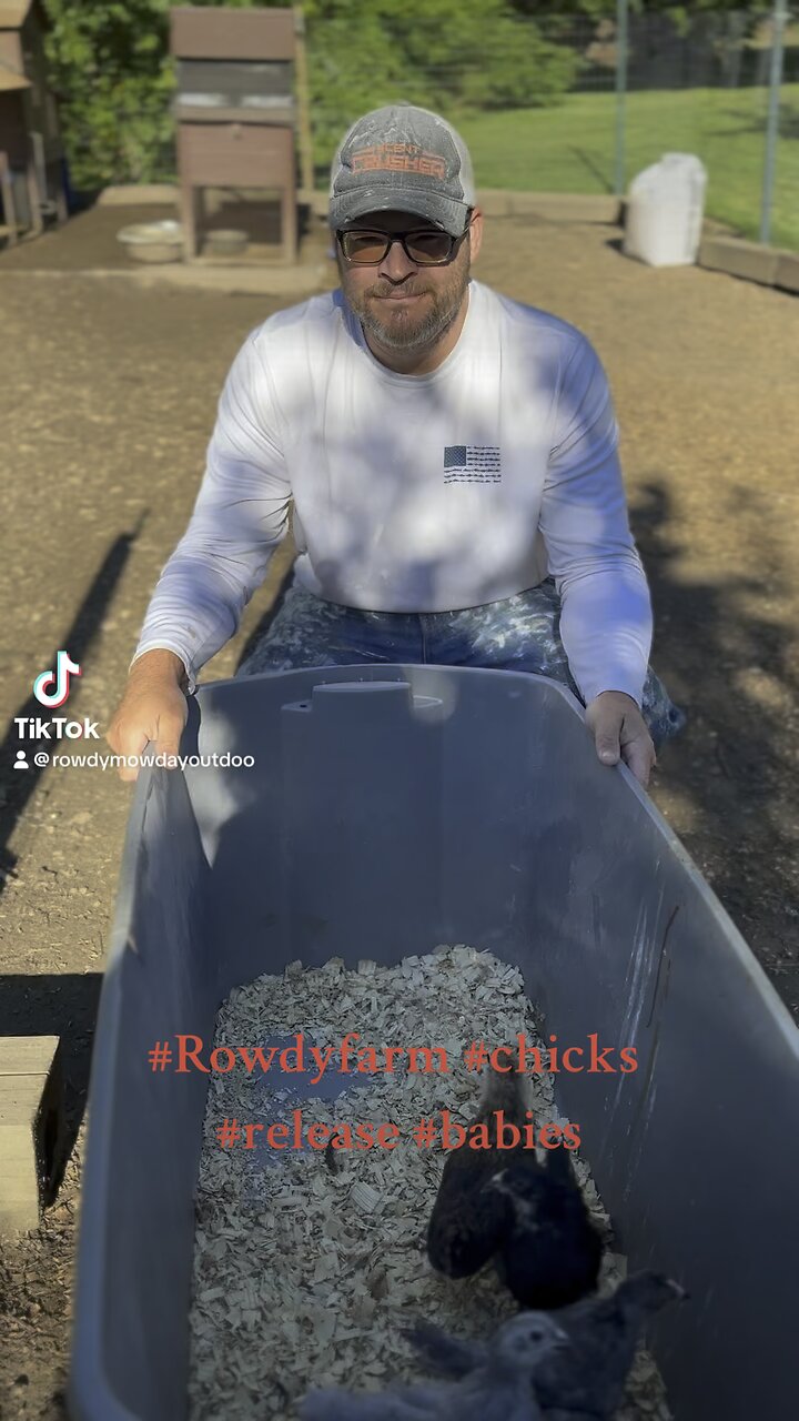 Rowdy farm!!! #chickens #ducks #farm #feed #tractorsupply