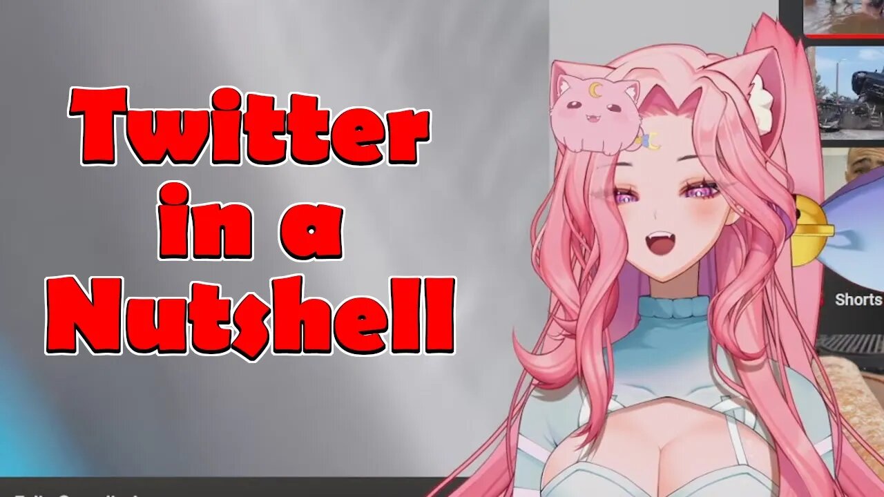 @MeowMoonified - Twitter in a Nutshell #vtuber #clips