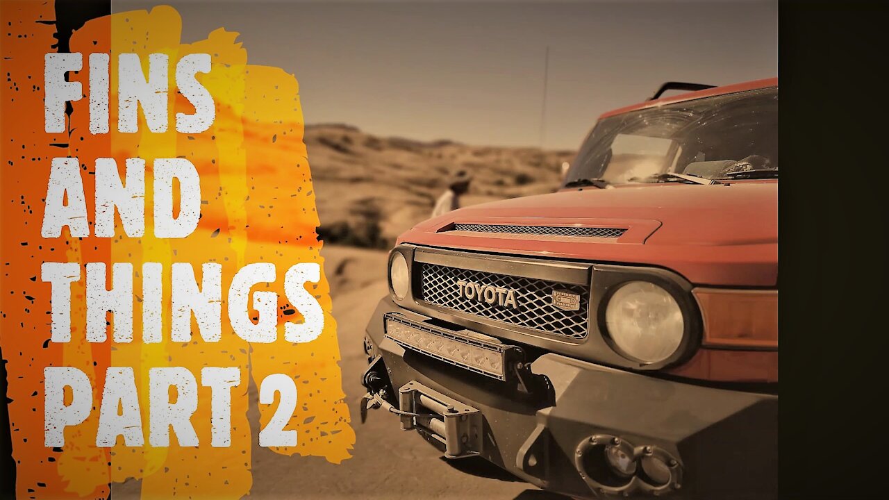 Fins and Things part 2