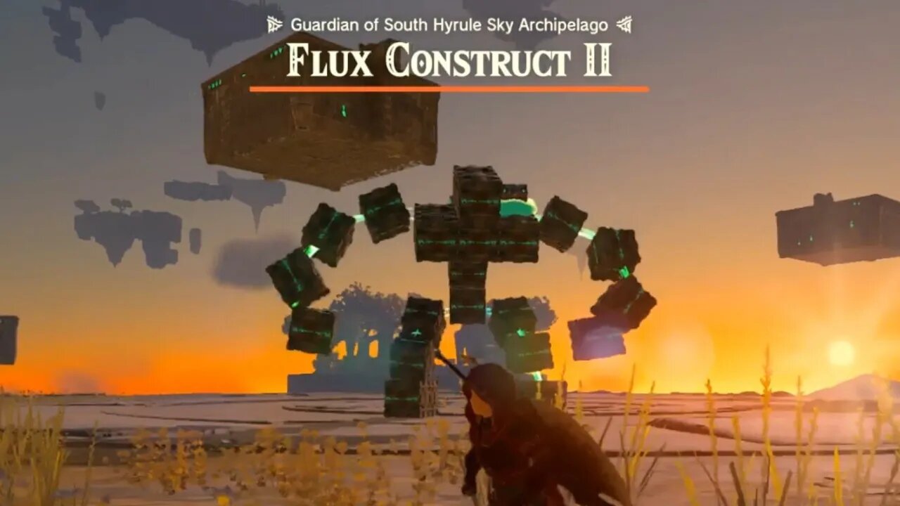 Defeating Flux Construct II (Guardian of South Hyrule Sky Archipelago ...