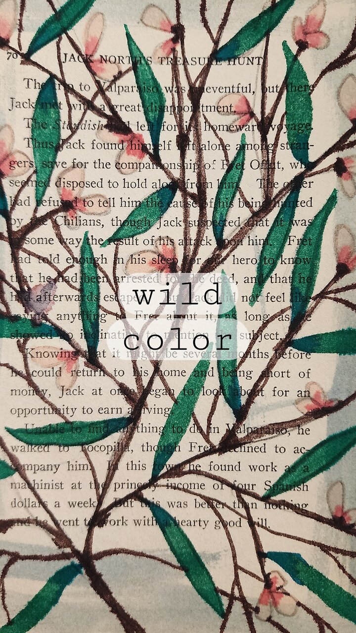 Wild Color