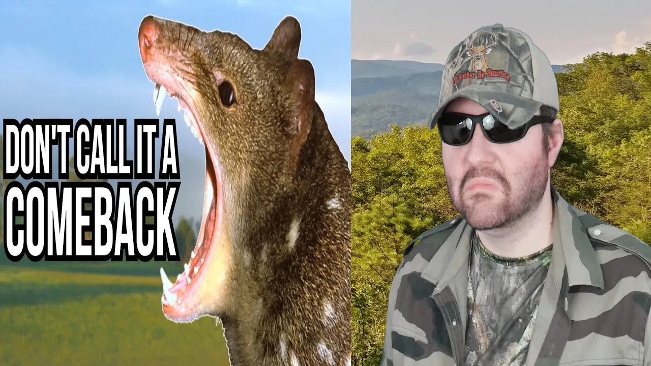 3 Australian Predators That Hunt & Control Invasive Species (Tsuki ...