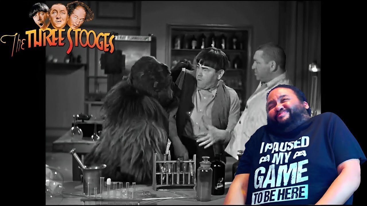 Curly Got A Dangerous Friend _ The Three Stooges Ep 89 A Bird In The ...
