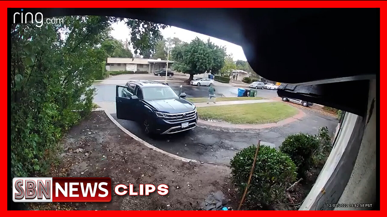 Father Jumps To Action Saves 2 Year Old Daughter From Predator 6671