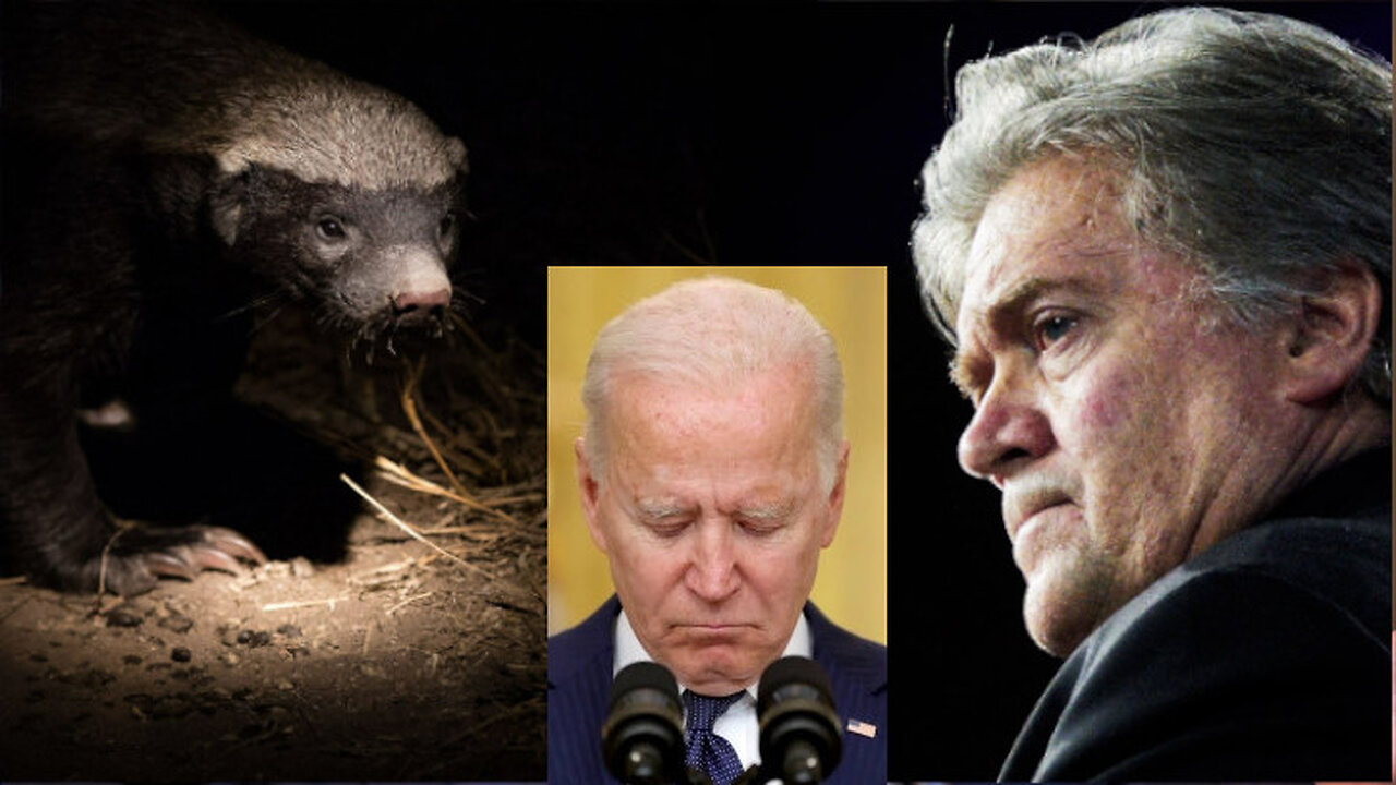 Great Honey Badger Rant: "It's Not About Hunter. It's About Biden. The ...
