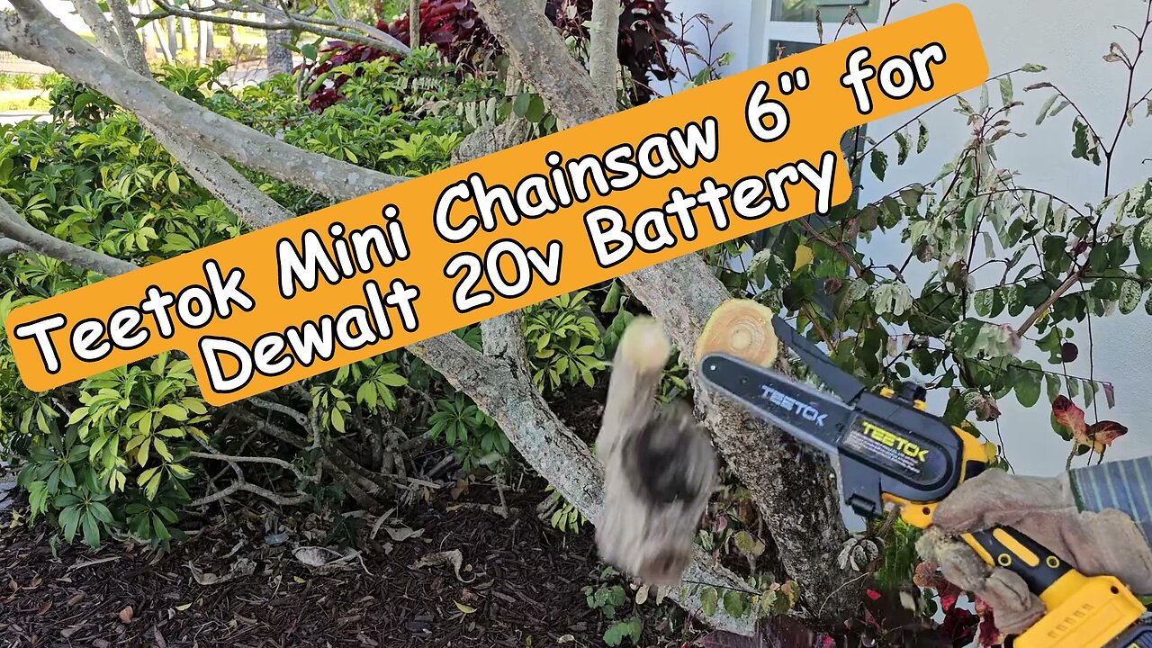 Teetok (PEDONY) Mini Chainsaw 6’’ for Dewalt 20v Battery Full Review ...