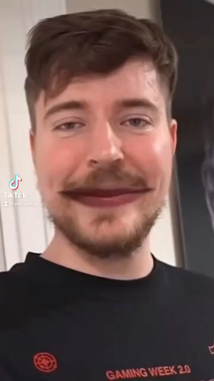 MrBeast meme