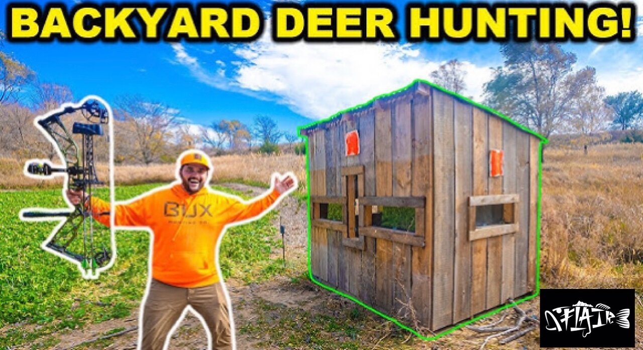 DEER HUNTING in HOMEMADE luxury deer blind. Rare bobcat footage. (Catch ...