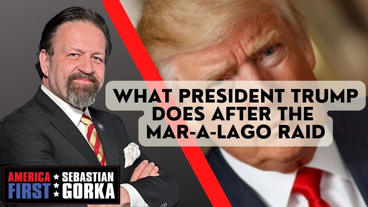 What President Trump does after the Mar-a-Lago Raid. Joe DiGenova and ...