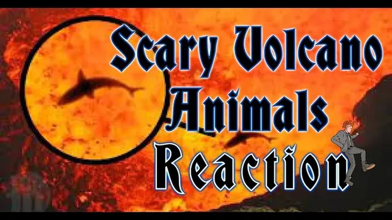 Scary Volcano Animals You Can't Believe Exist OR Can You? Sharks! Punk ...