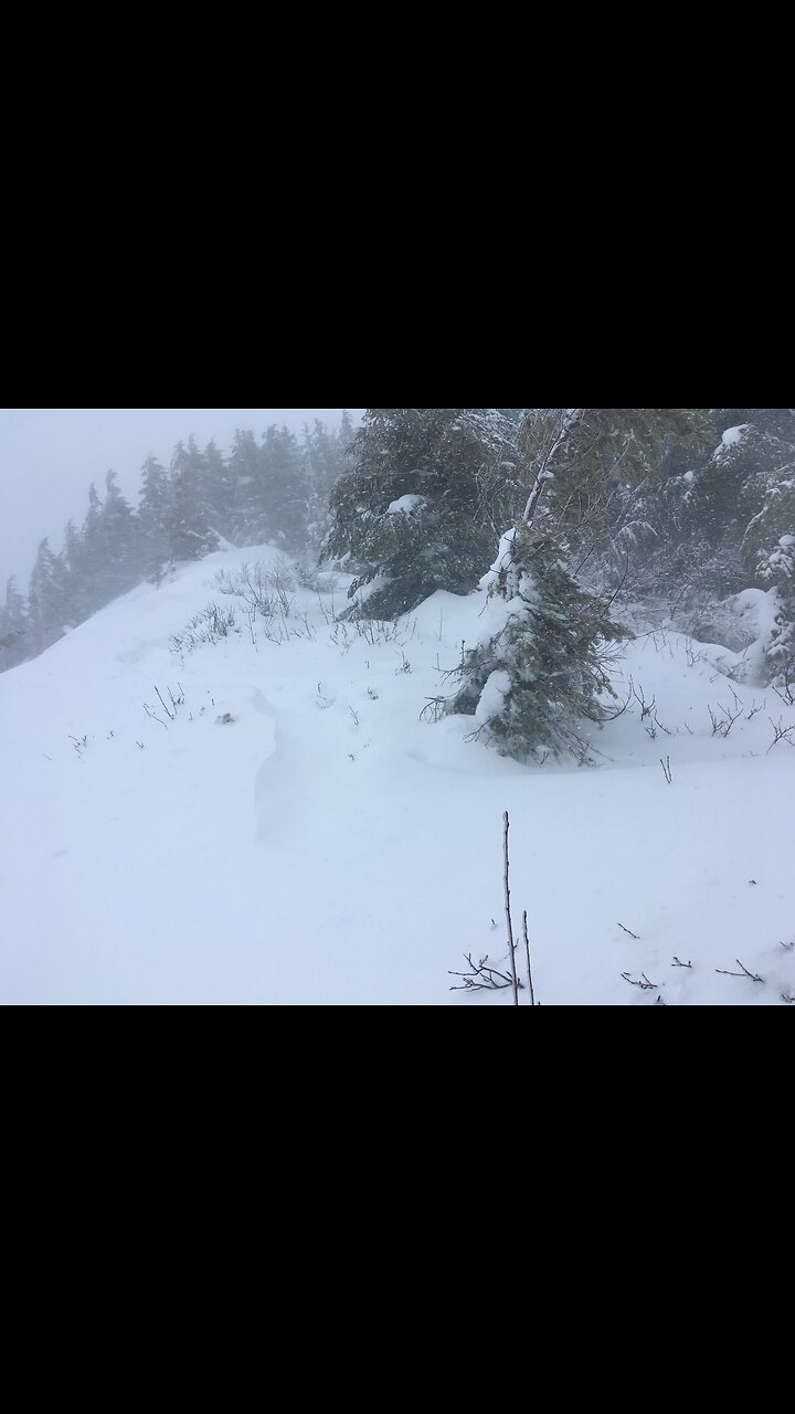 KINGS MOUNTAIN: Fun in the Snow! (Tillamook Oregon, USA)