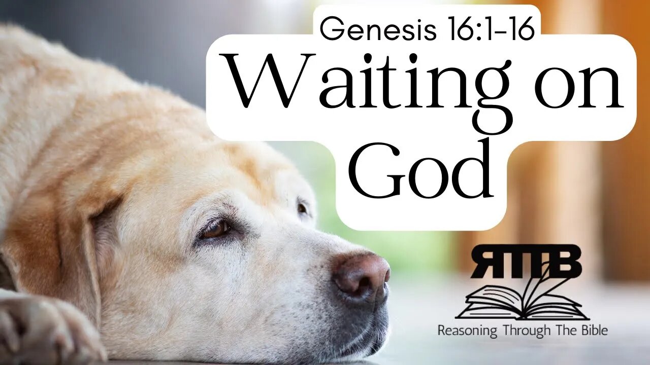 Do Not Rush God || Genesis 16:1-16 || Session 29 || Verse by Verse ...