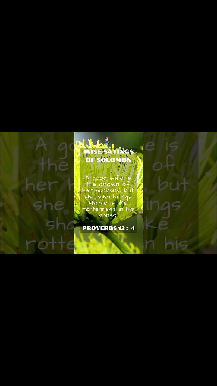 Wise Sayings of Solomon | Proverbs 12:4