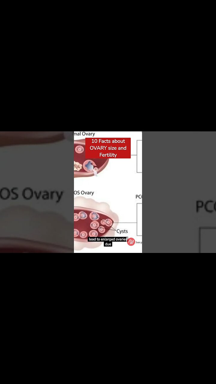 10 Facts about OVARY size and fertility #shortsfeed #fertility #trending