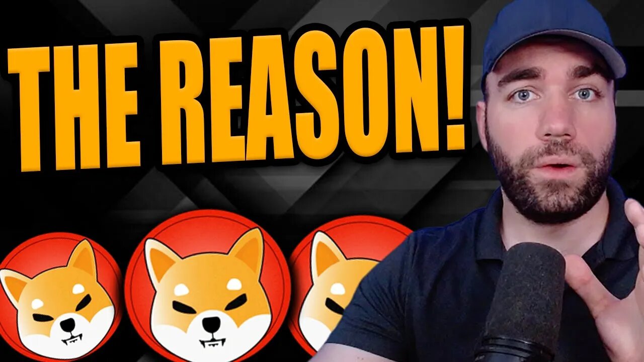 Shiba Inu Coin Holders, The Reason Why SHIB Is Going Down Right Now!