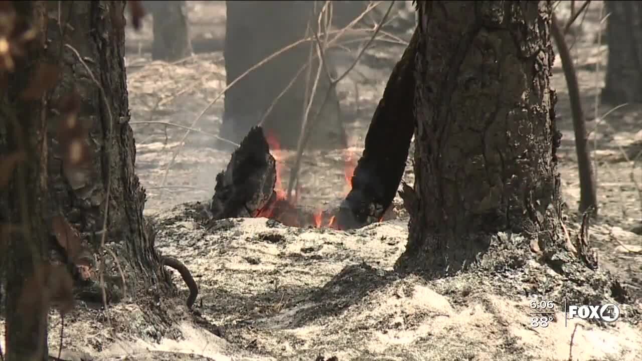 14th Ave Fire in Golden Gate remains at 900 acres and is now 100% contained