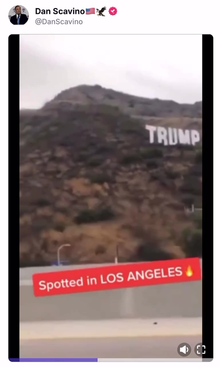 DAN SCAVINO POST ~SPOTTED IN LOS ANGELES