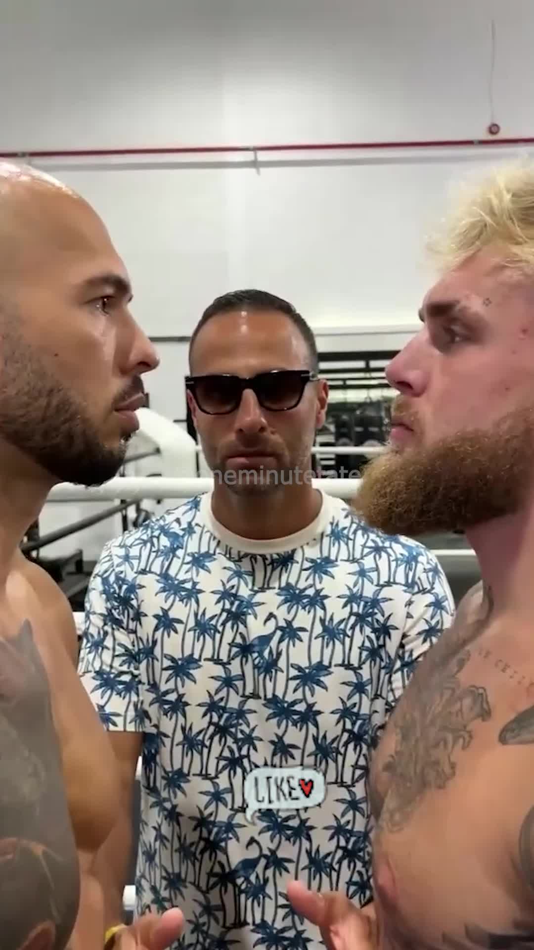 ANDREW TATE VS JAKE PAUL FACE OFF
