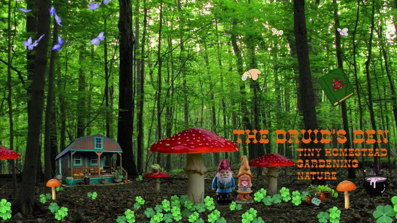 Welcome to The Druid's Den