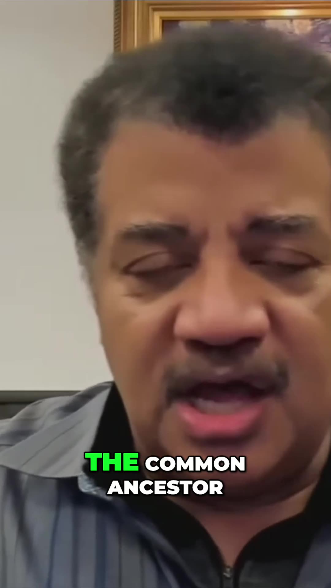 The Evolution of Life: From Fish to Humans and Mushrooms