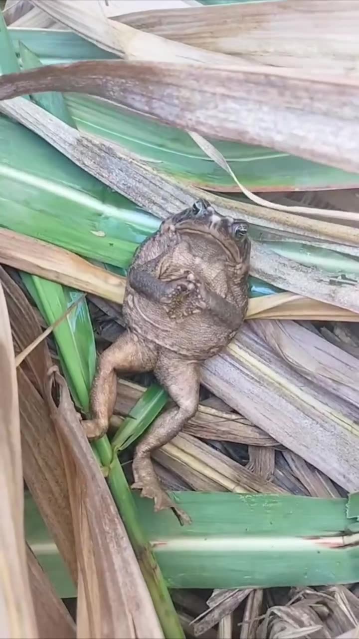 Taking an extended lunch break 🤣🤣