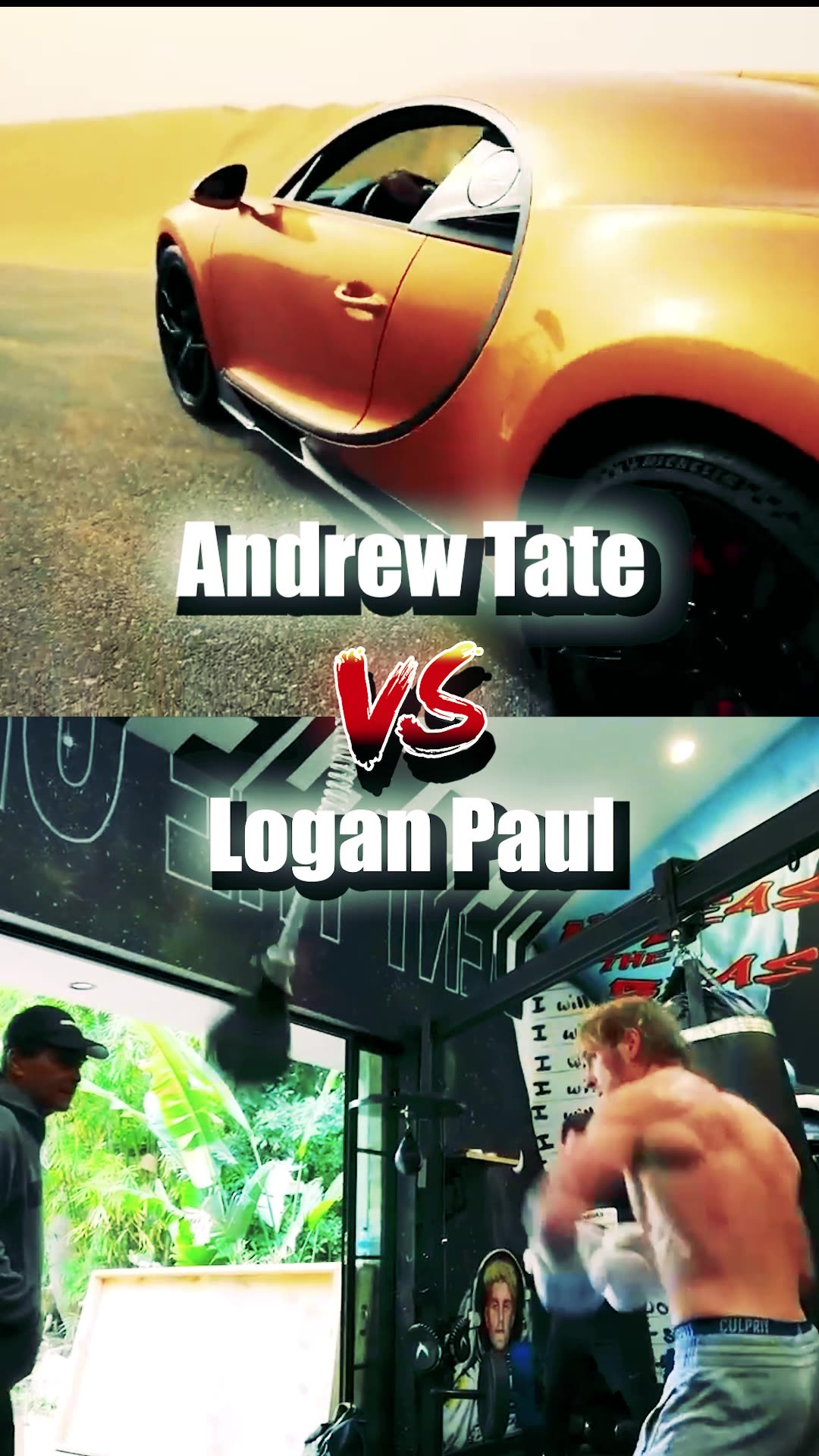 Andrew Tate vs Logan Paul