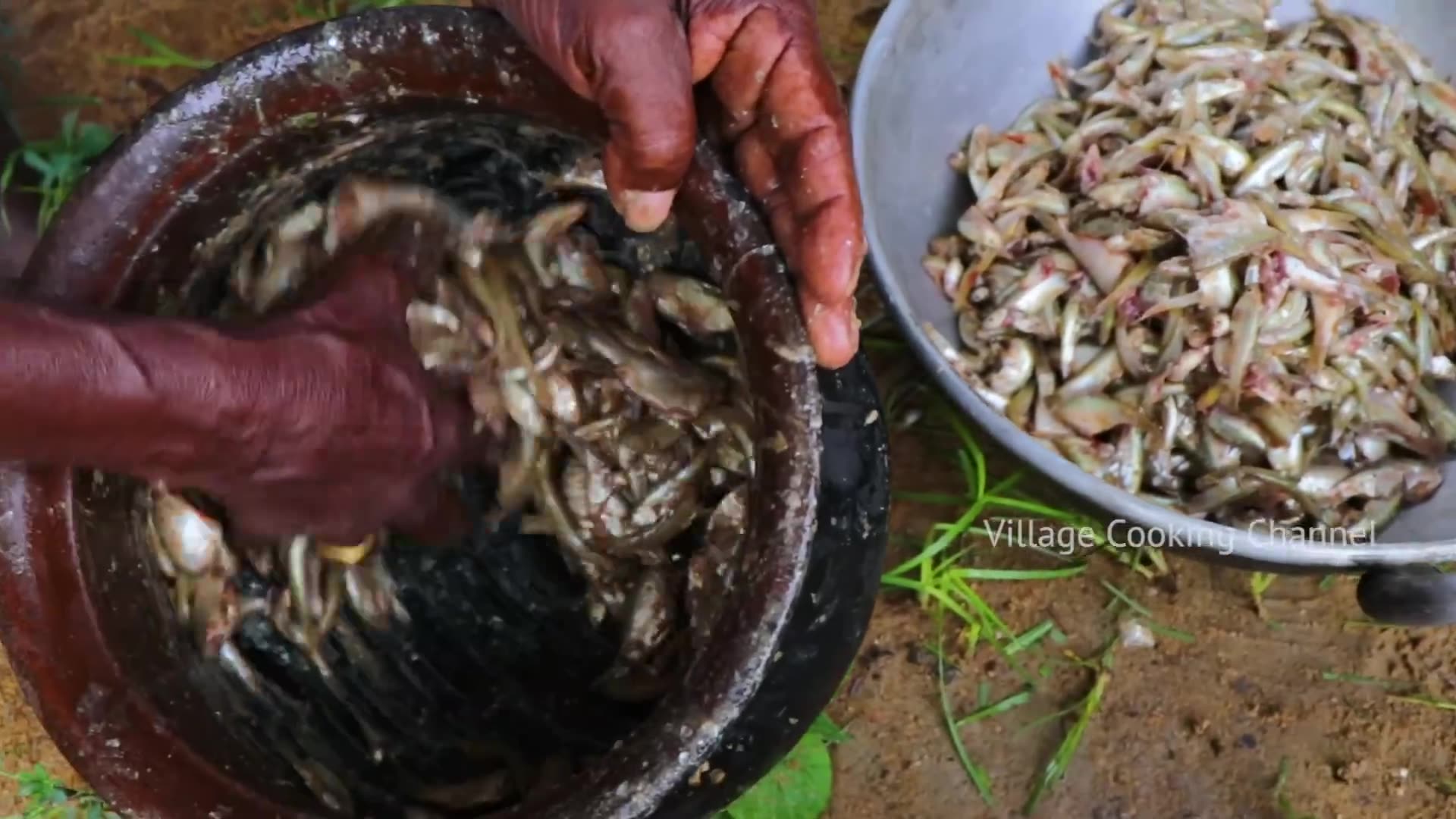 Pathakattai Fish Catching _ Cooking _ Fishing in Village using ...