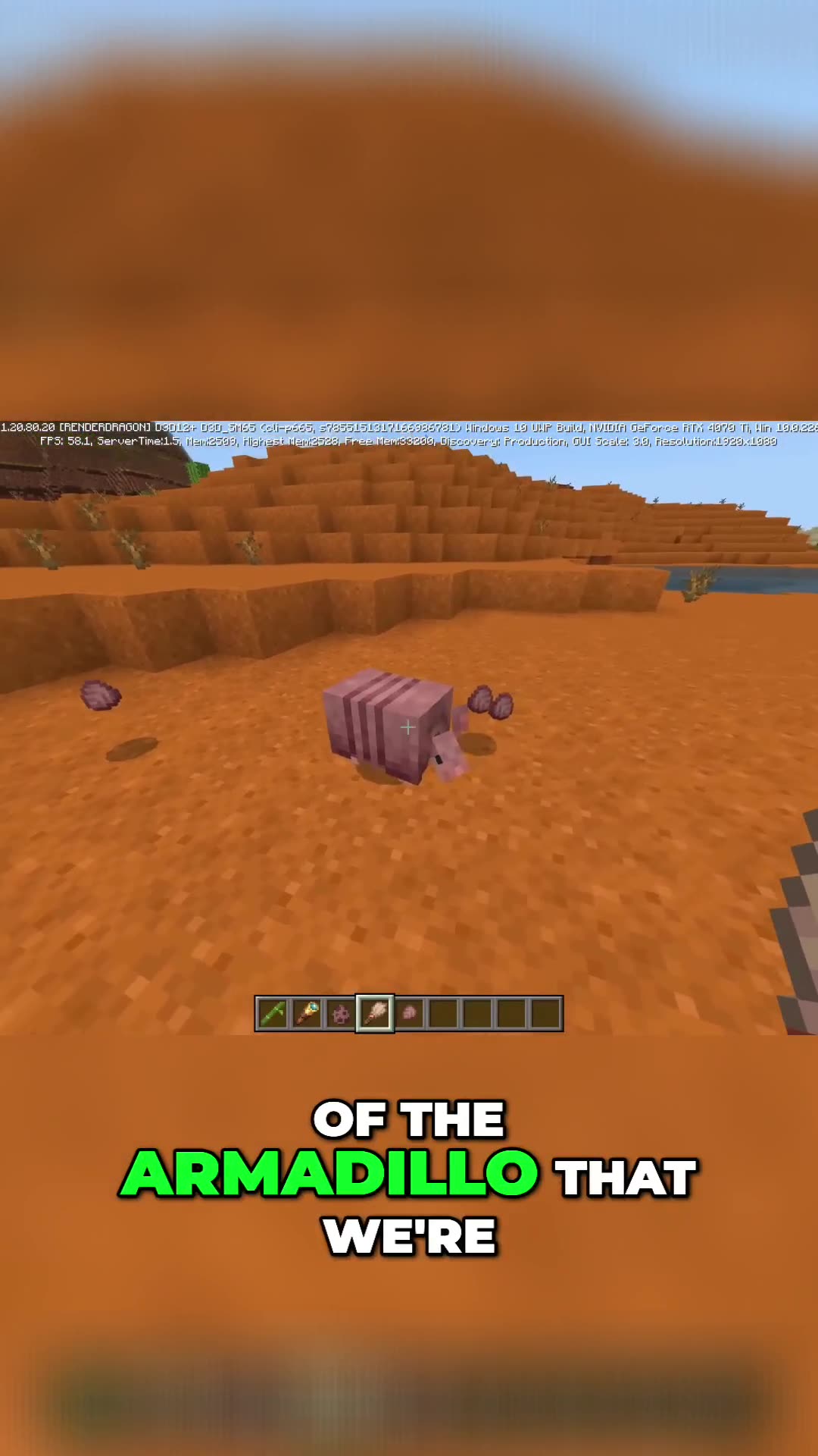 Ultimate Guide to Armadillos: Minecraft Java Edition Review