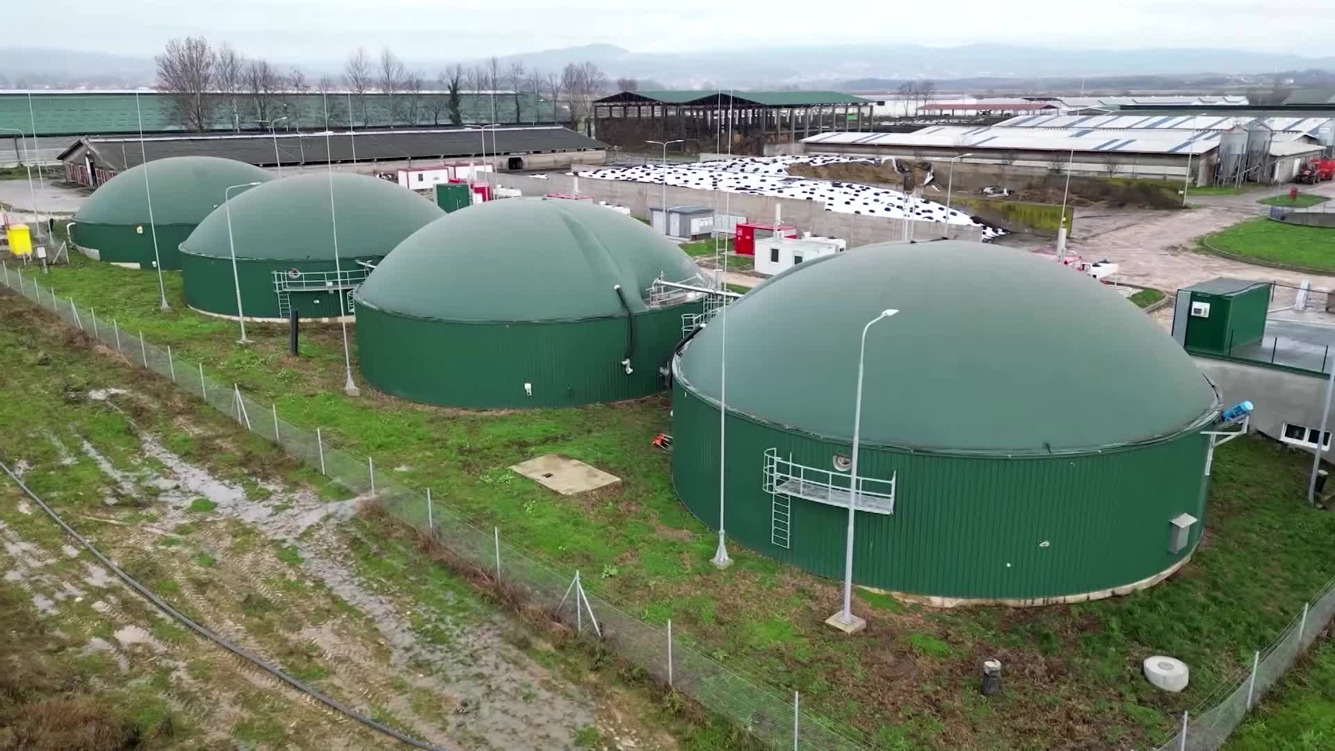 How a Bosnian farm makes electricity from animal waste