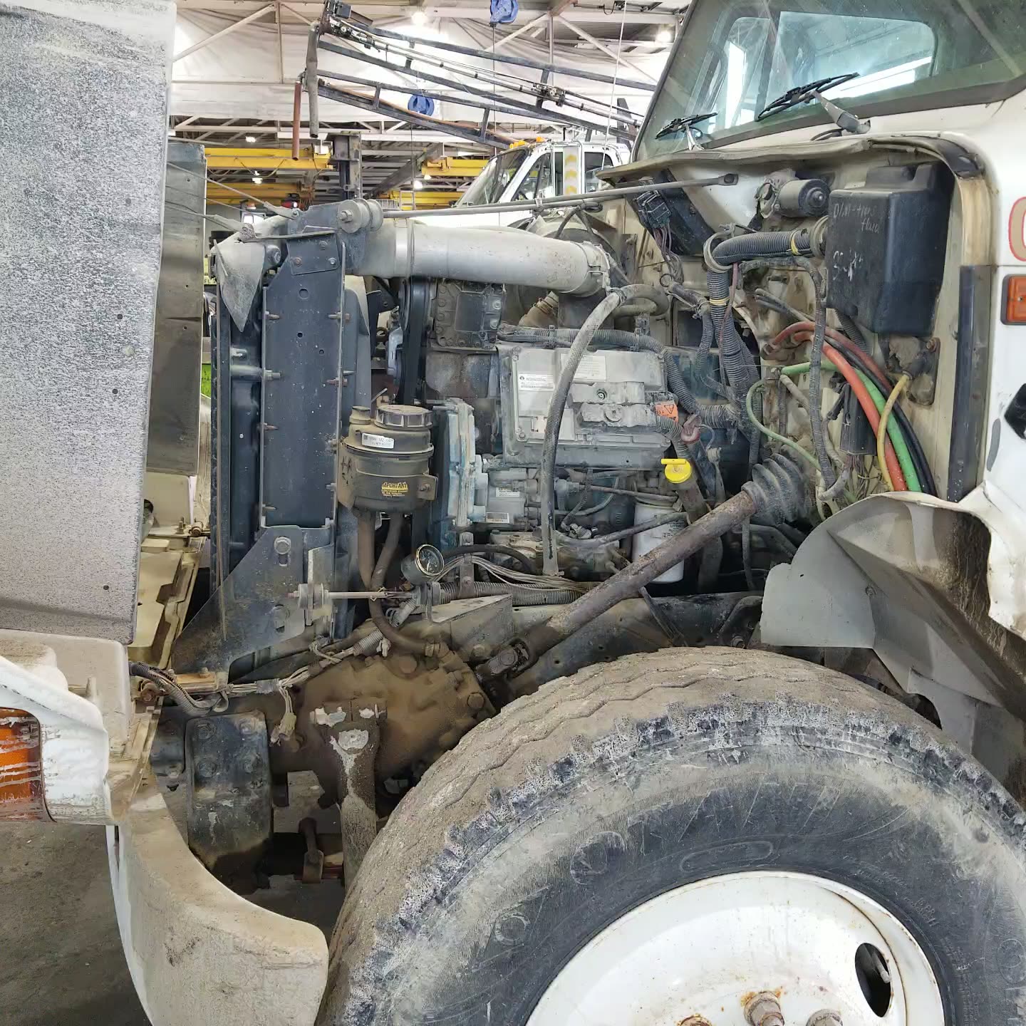 1286 DT466 Diesel Engine RTO