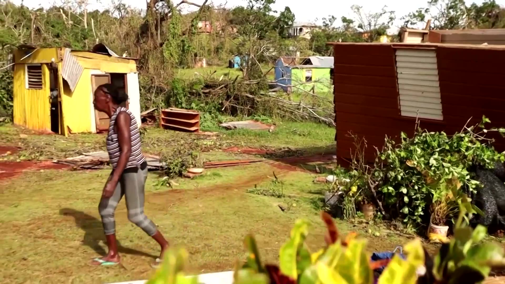 Jamaicans grapple with destruction after Storm Beryl