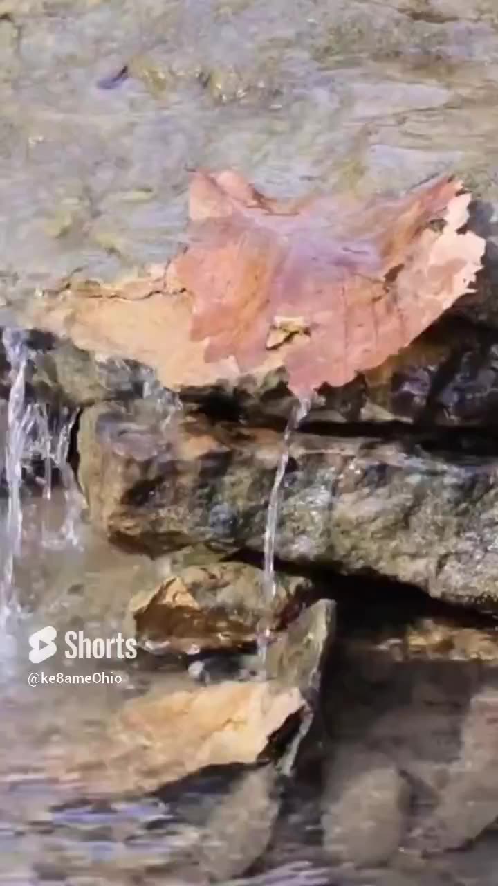 Dose running water Make You have to PEE