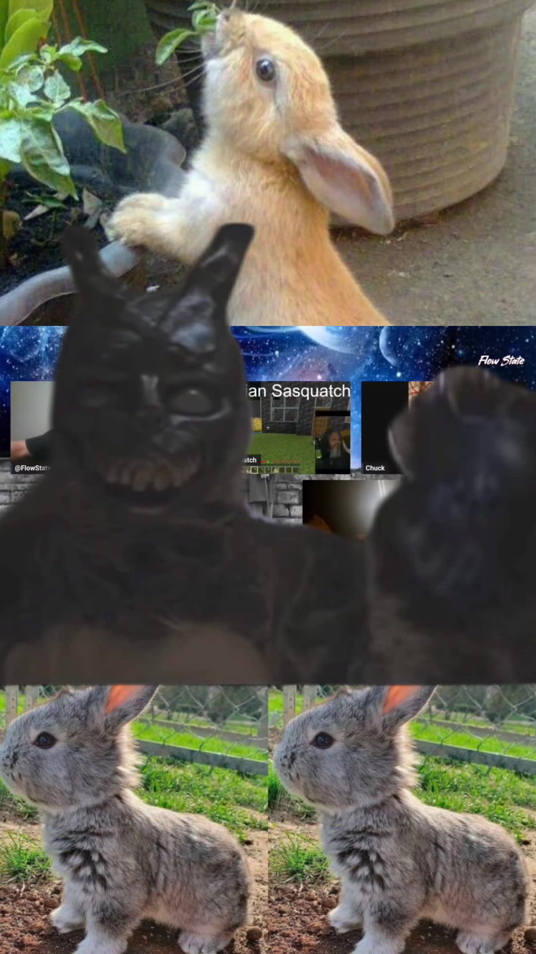 Joe Cool lost a lot of gangster points that day || FLOW STATE