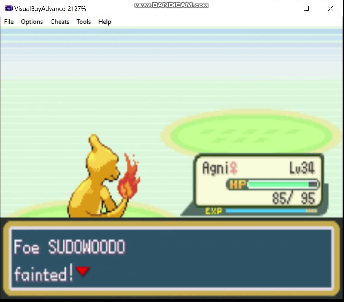 Pokemon Kanto Complete - Shiny Fire Monotype, Episode 6: A Raging Inferno