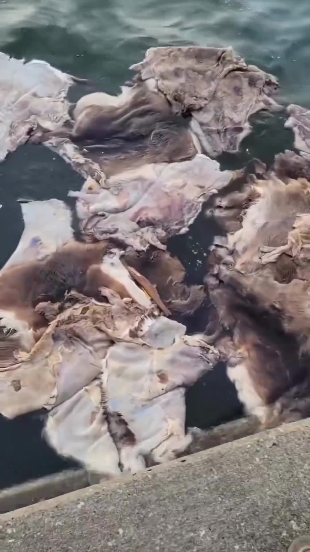 Items from the cargo container that collided with Baltimore's Key Bridge