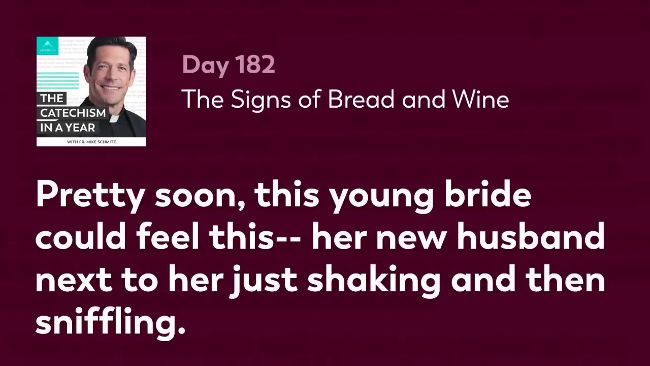 Day 182: The Signs of Bread and Wine — The Catechism in a Year (with Fr ...
