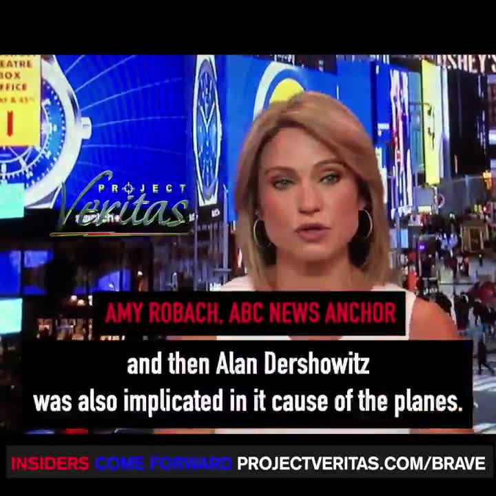 Amy Robach of ABC News Talks About Suppression of the Epstein Story