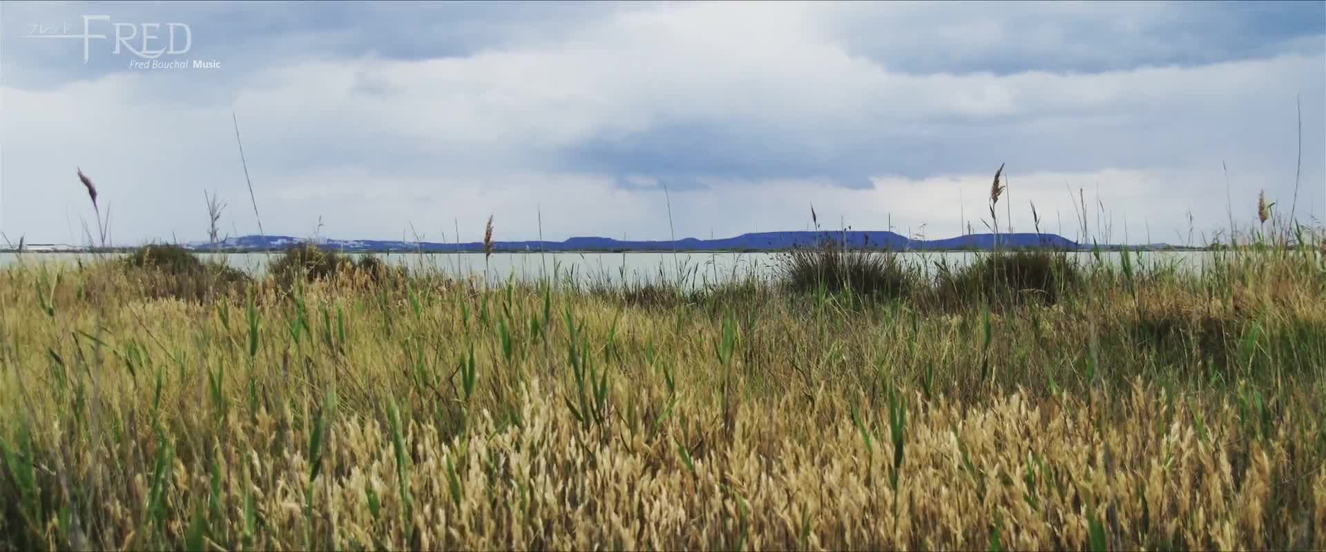 Fred Bouchal - Lumine (Lūmine)